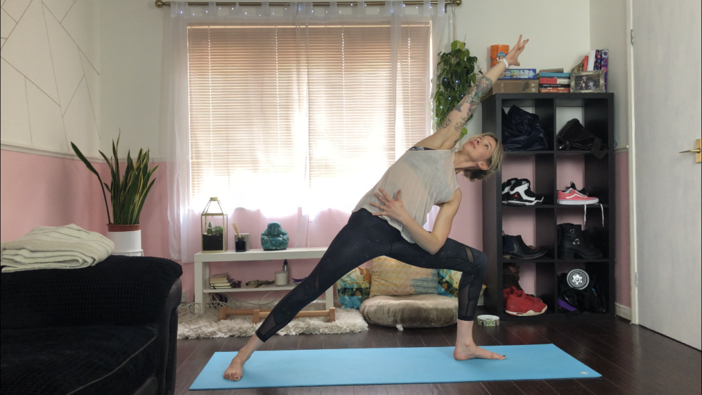 Online Yoga and Livestream Classes - Tali Allen Yoga & Somatics