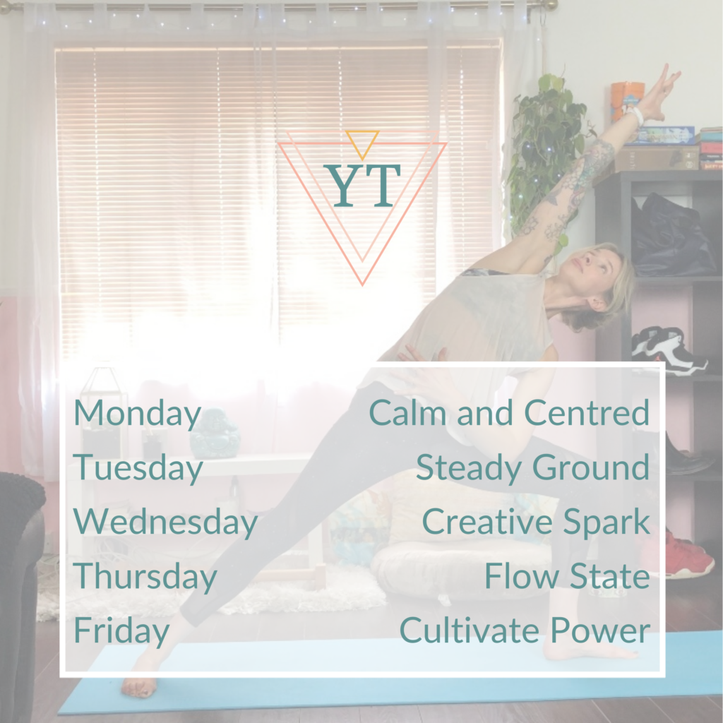 Online Yoga and Livestream Classes - Tali Allen Yoga & Somatics